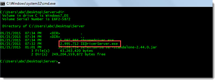 Internet Explorer Driver Server Internet Explorer Driver Server